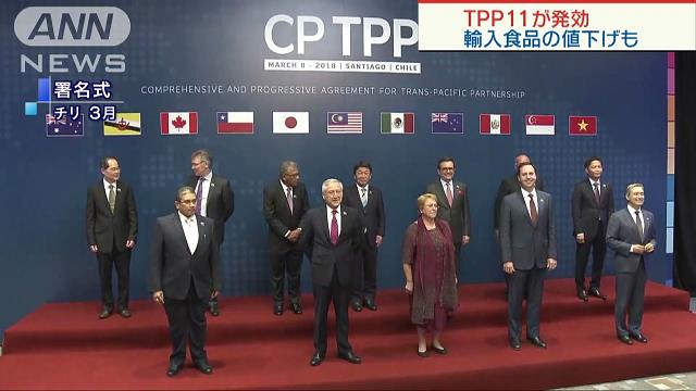 30日午前0時にTPP11が発効 輸入食品の値下げも