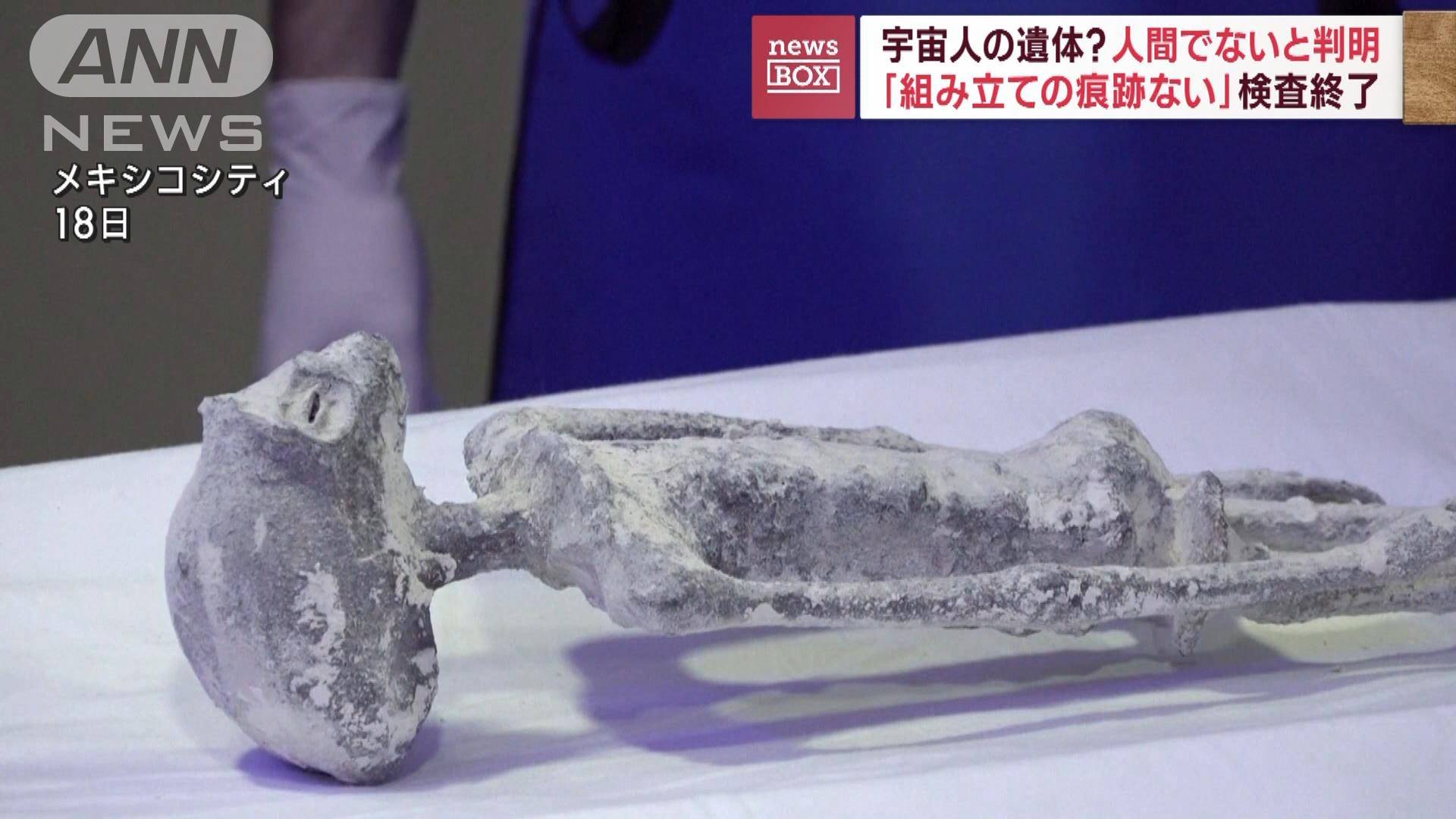 宇宙人の遺体？ 人間でないと判明「組み立ての痕跡ない」