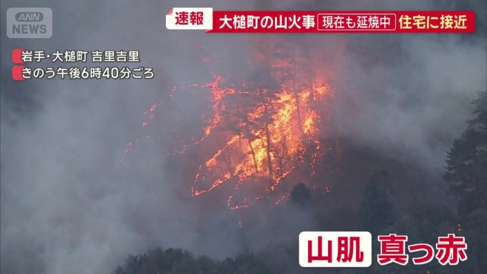 山火事…住宅に接近 数カ所で火柱 出火原因は？ 住民ら不安の避難 岩手県大槌町（テレ朝NEWS）｜dメニューニュース（NTTドコモ）